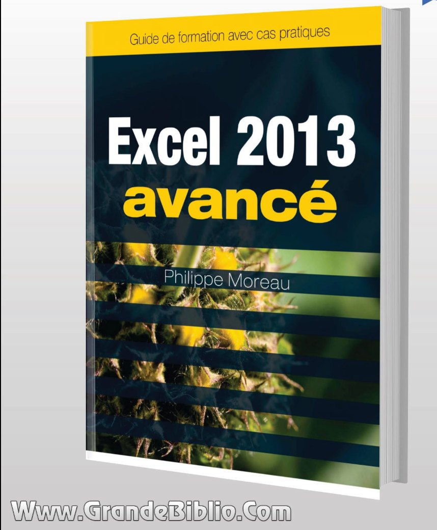 Le Meilleur Guide de formation EXCEL avec cas pratiques en [PDF] 😍 ...